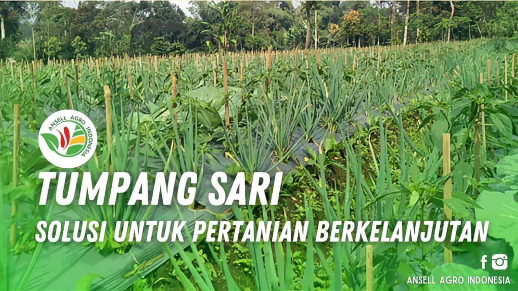 Tumpang Sari untuk Pertanian Berkelanjutan di Indonesia