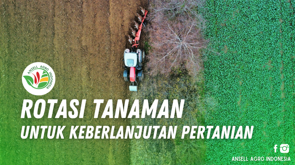 Pentingnya Rotasi Tanaman untuk Keberlanjutan Pertanian